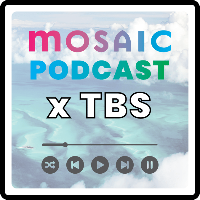 Mosaic Cloud for Deltek and Connected Apps